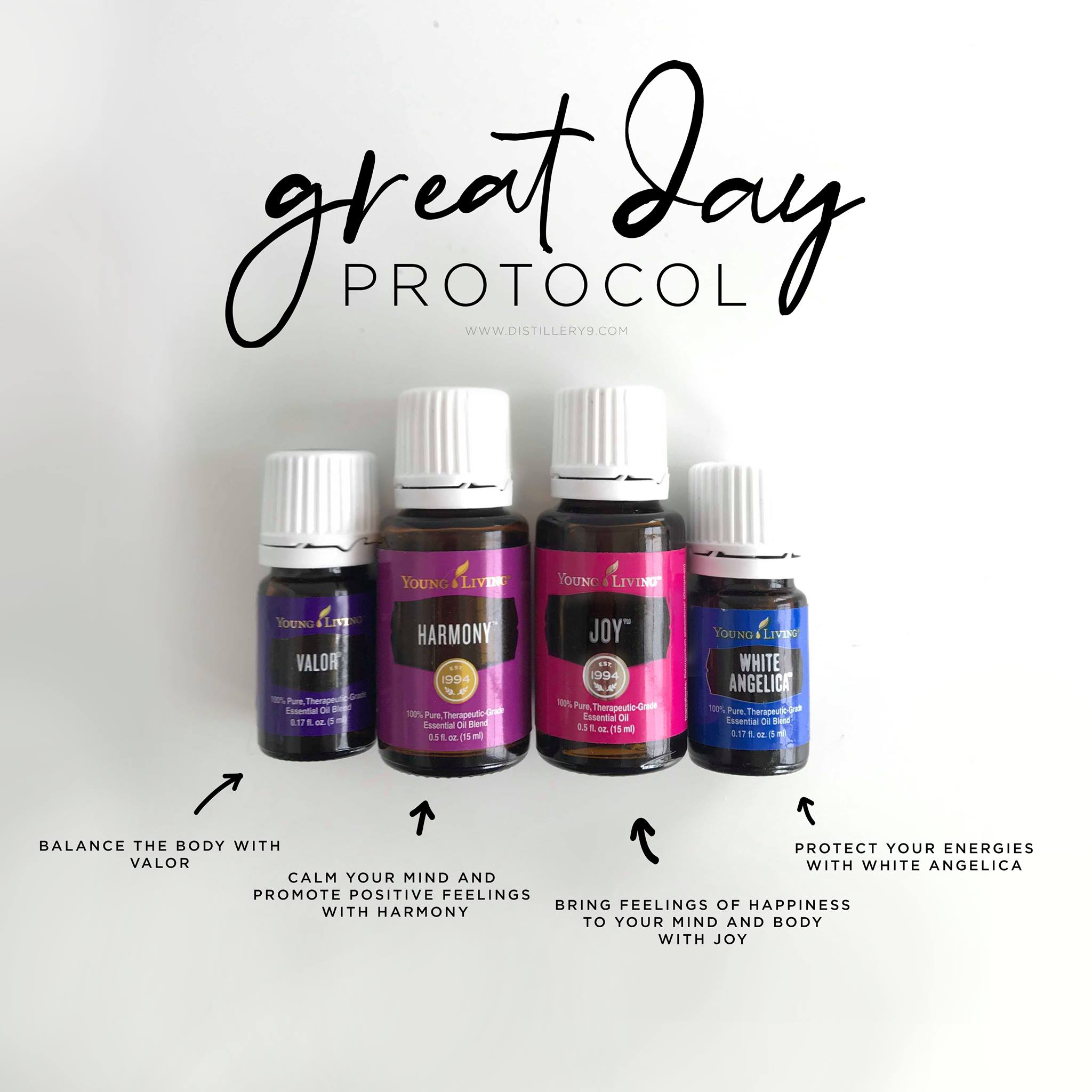 Great Day Protocol – DISTILLERY 9